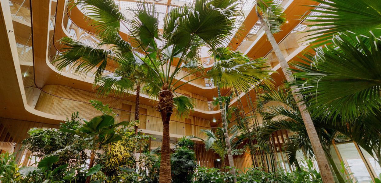 Subtropische tuin - Hotel Jakarta Amsterdam • by WestCord • Official ...